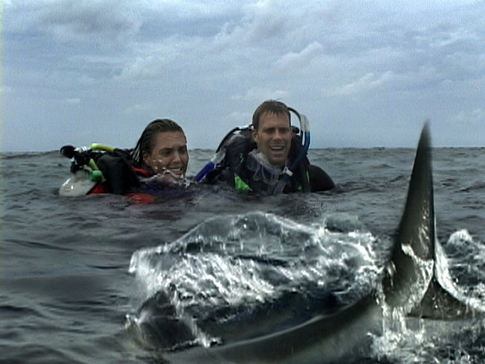 Ocean strachu (2003) - film | Telemagazyn