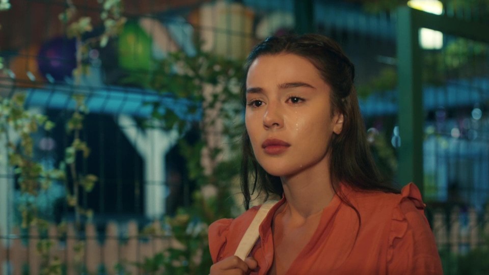 Miłość i nadzieja - Odcinek 341 - streszczenie odcinka | Telemagazyn