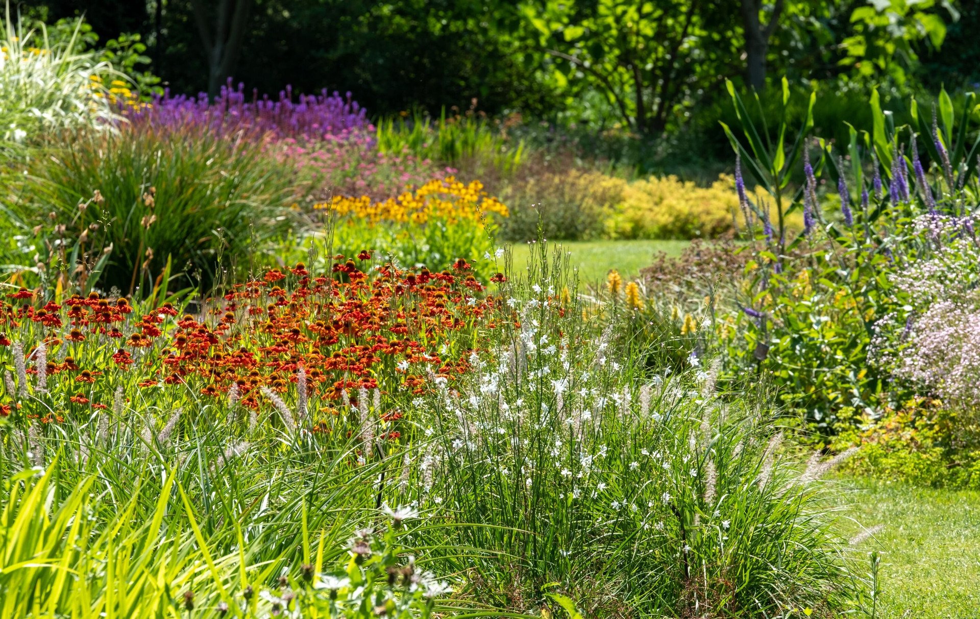 Monty Don - brytyjskie ogrody | Telemagazyn