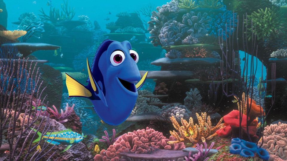 Gdzie jest Dory (2016) - film | Telemagazyn