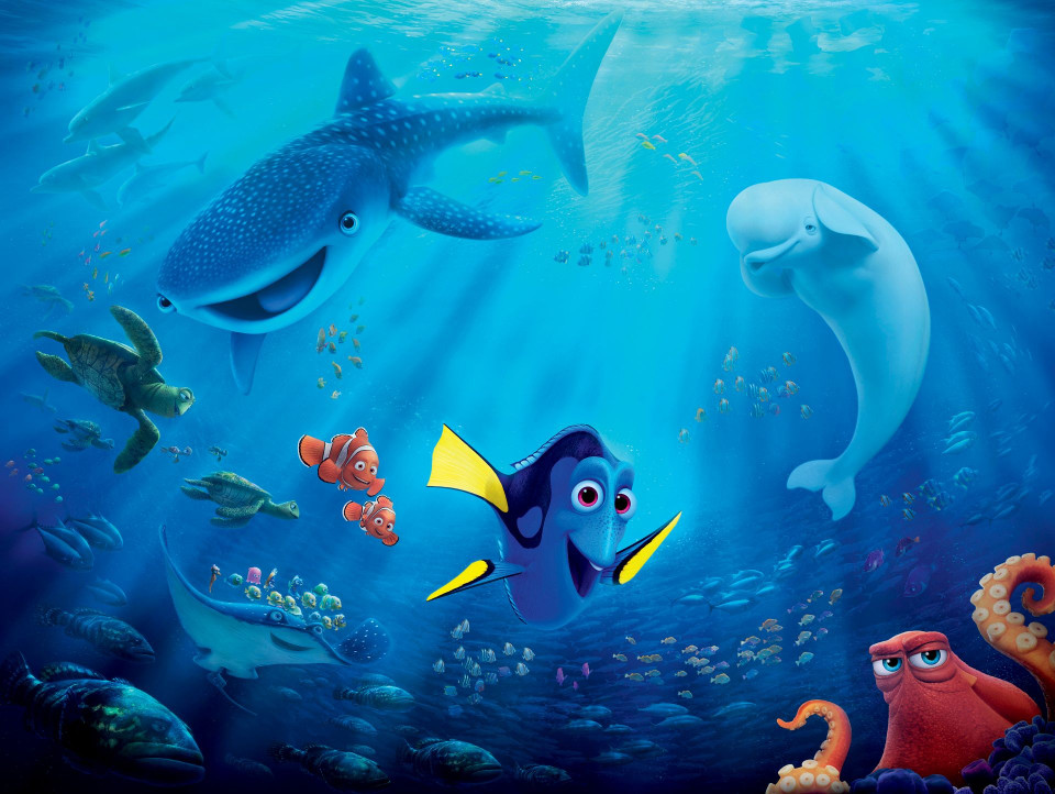 Gdzie jest Dory (2016) - film | Telemagazyn