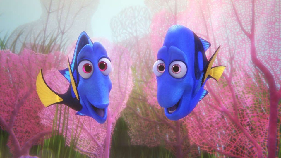 Gdzie jest Dory (2016) - film | Telemagazyn