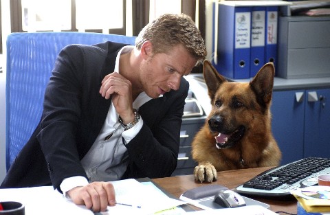 Komisarz Rex - serial | Telemagazyn