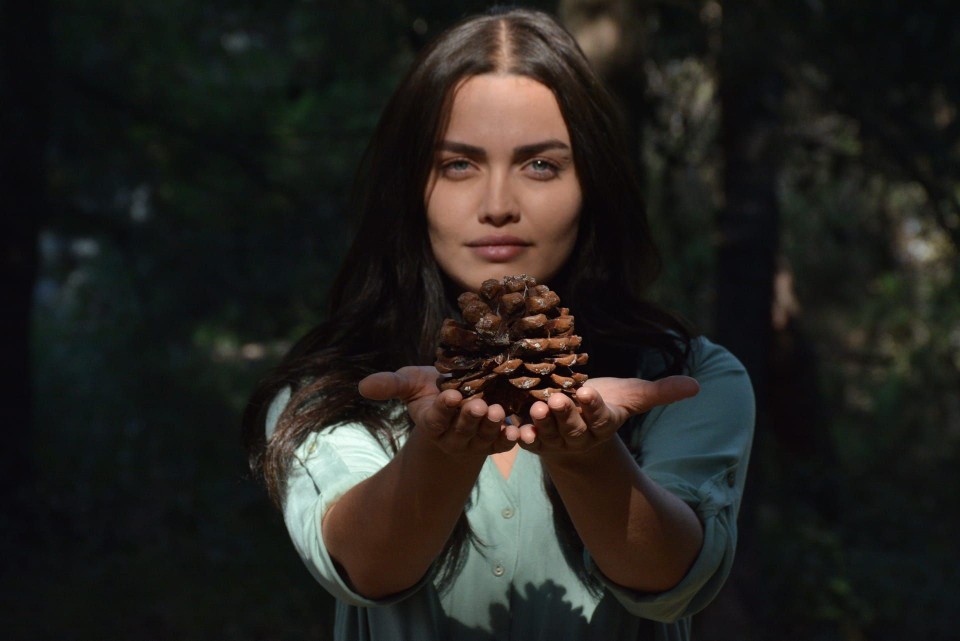 Dziedzictwo - Odcinek 707 - streszczenie odcinka | Telemagazyn