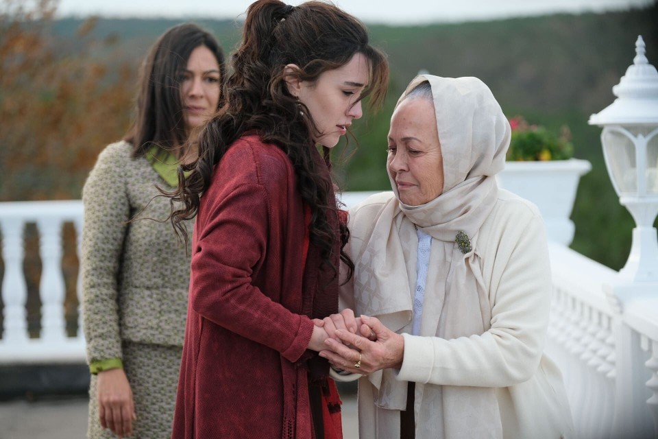 Wichrowe wzgórze - Odcinek 1 - streszczenie odcinka | Telemagazyn