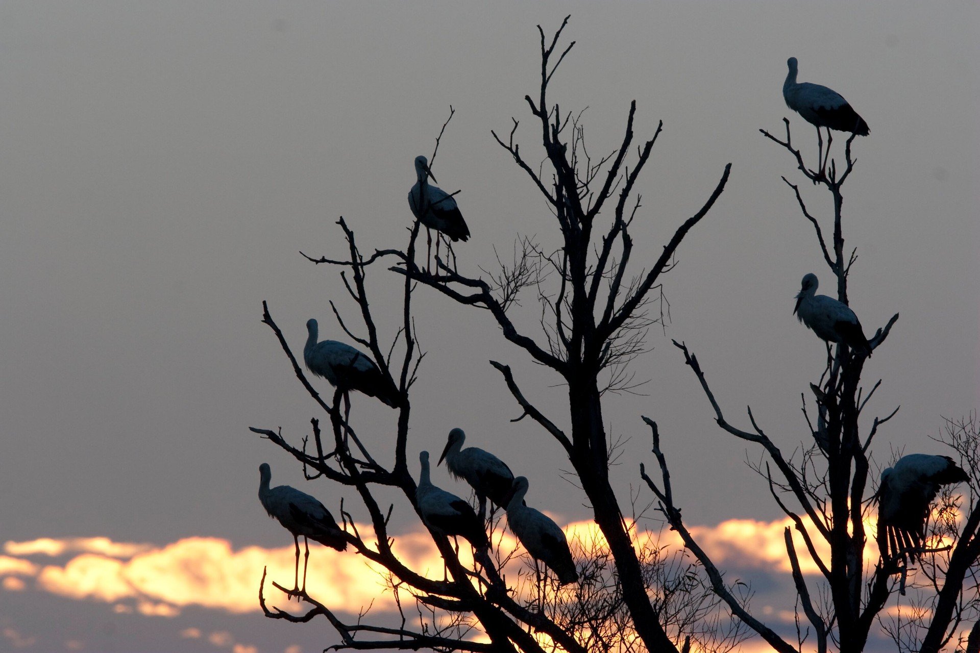 Pory roku z Adamem Wajrakiem - Lato - streszczenie odcinka | Telemagazyn