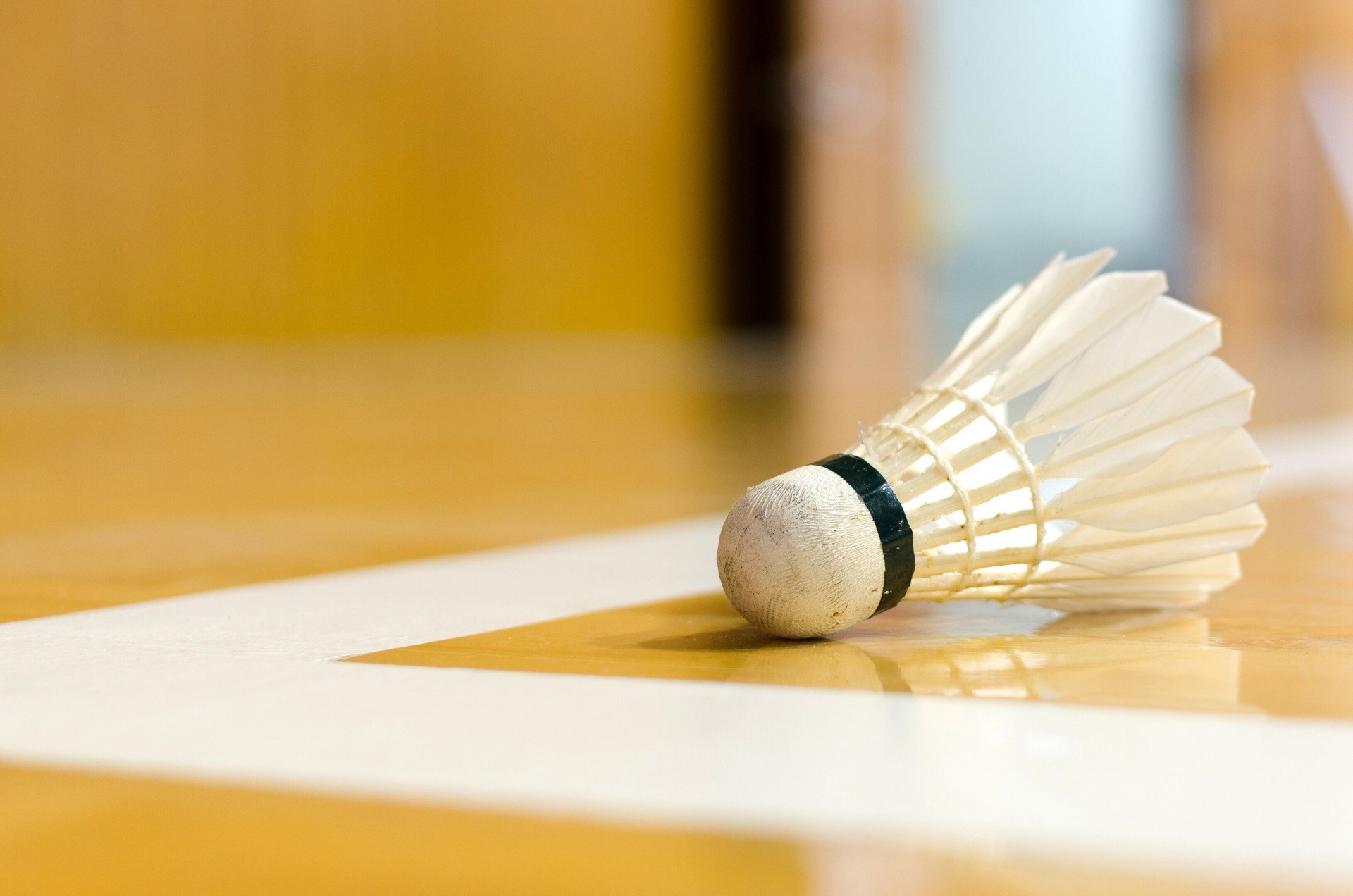 Badminton: VICTOR Denmark Open | Telemagazyn