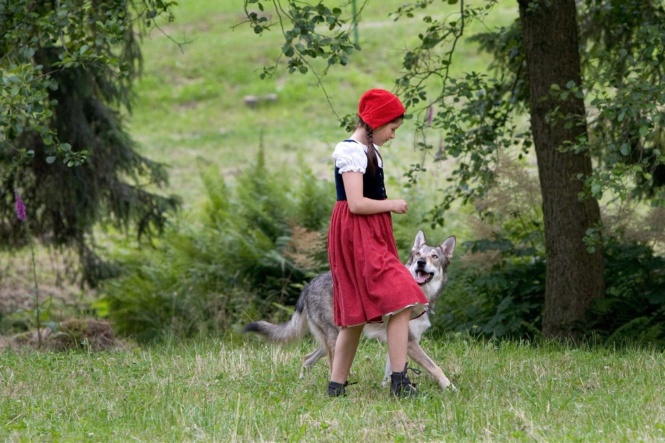 Czerwony Kapturek (2012) - film | Telemagazyn
