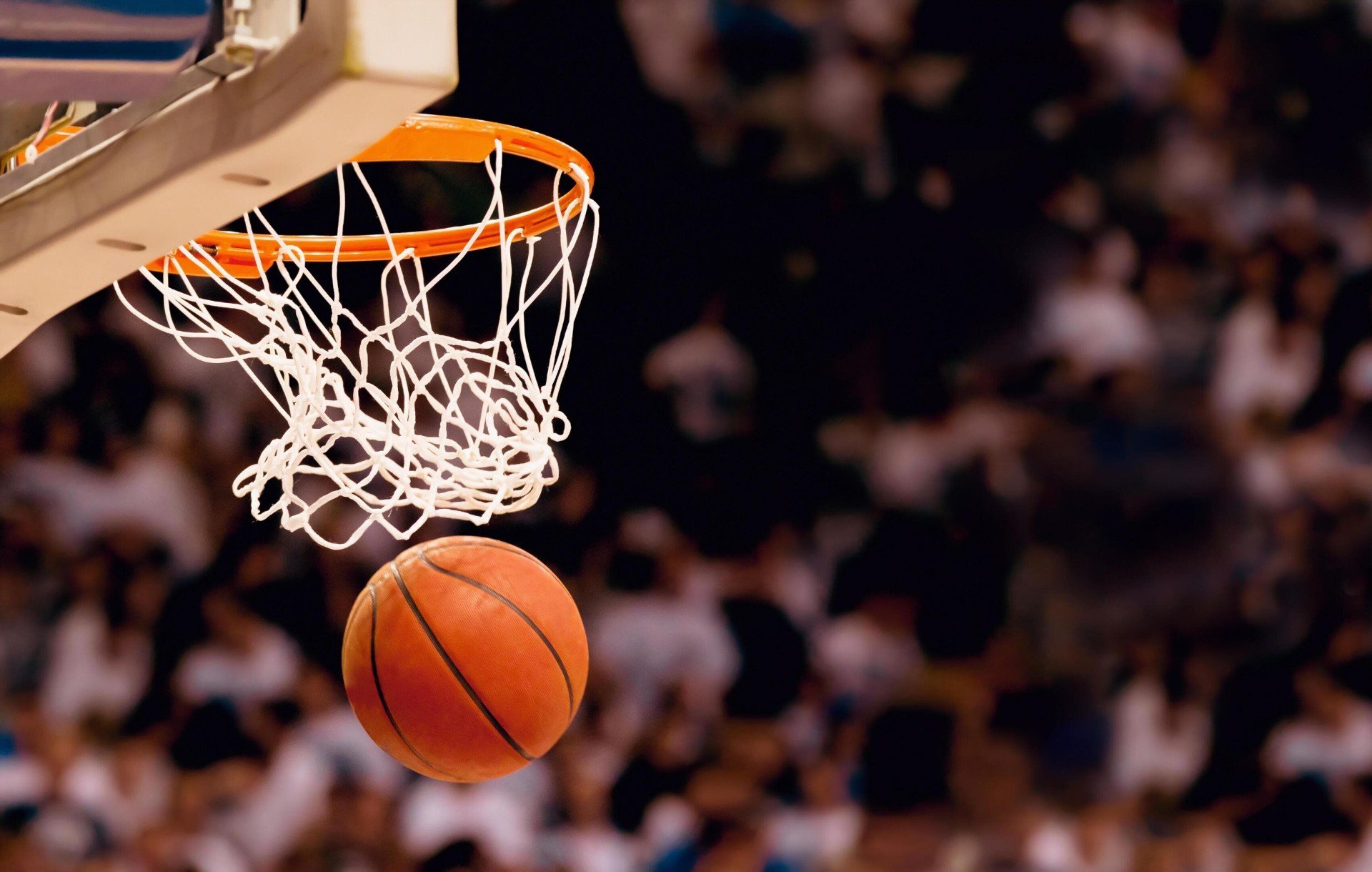 Koszykówka: NBA | Telemagazyn