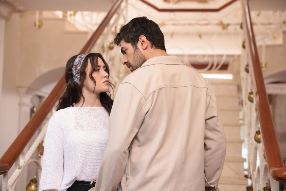 Wichrowe wzgórze - Odcinek 317 - streszczenie odcinka | Telemagazyn