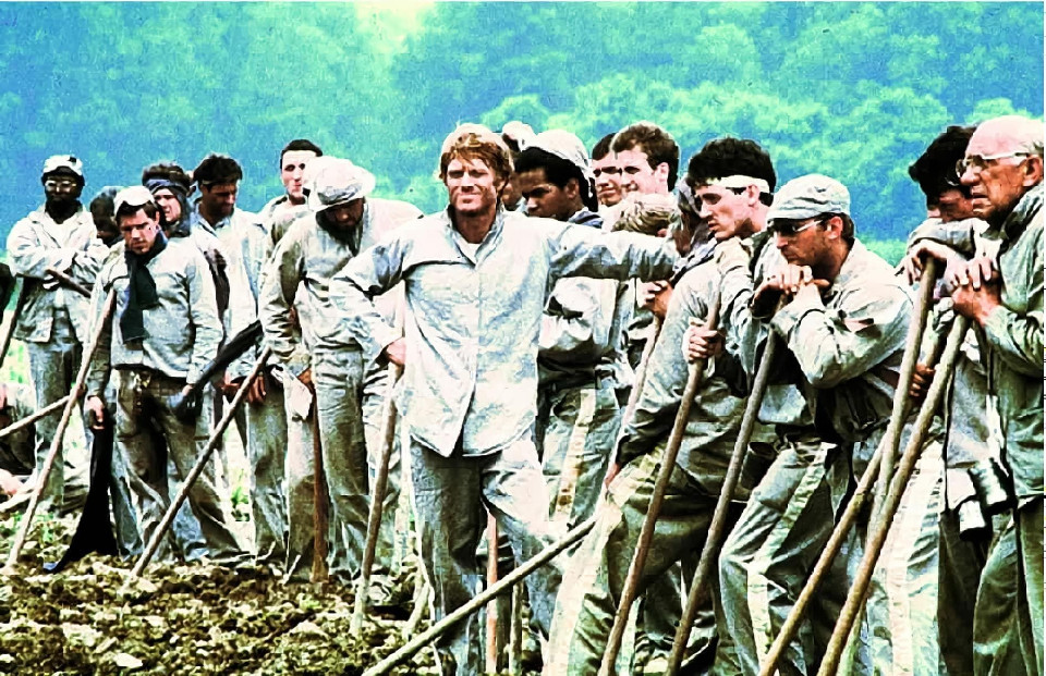 Więzień Brubaker (1980) - film | Telemagazyn