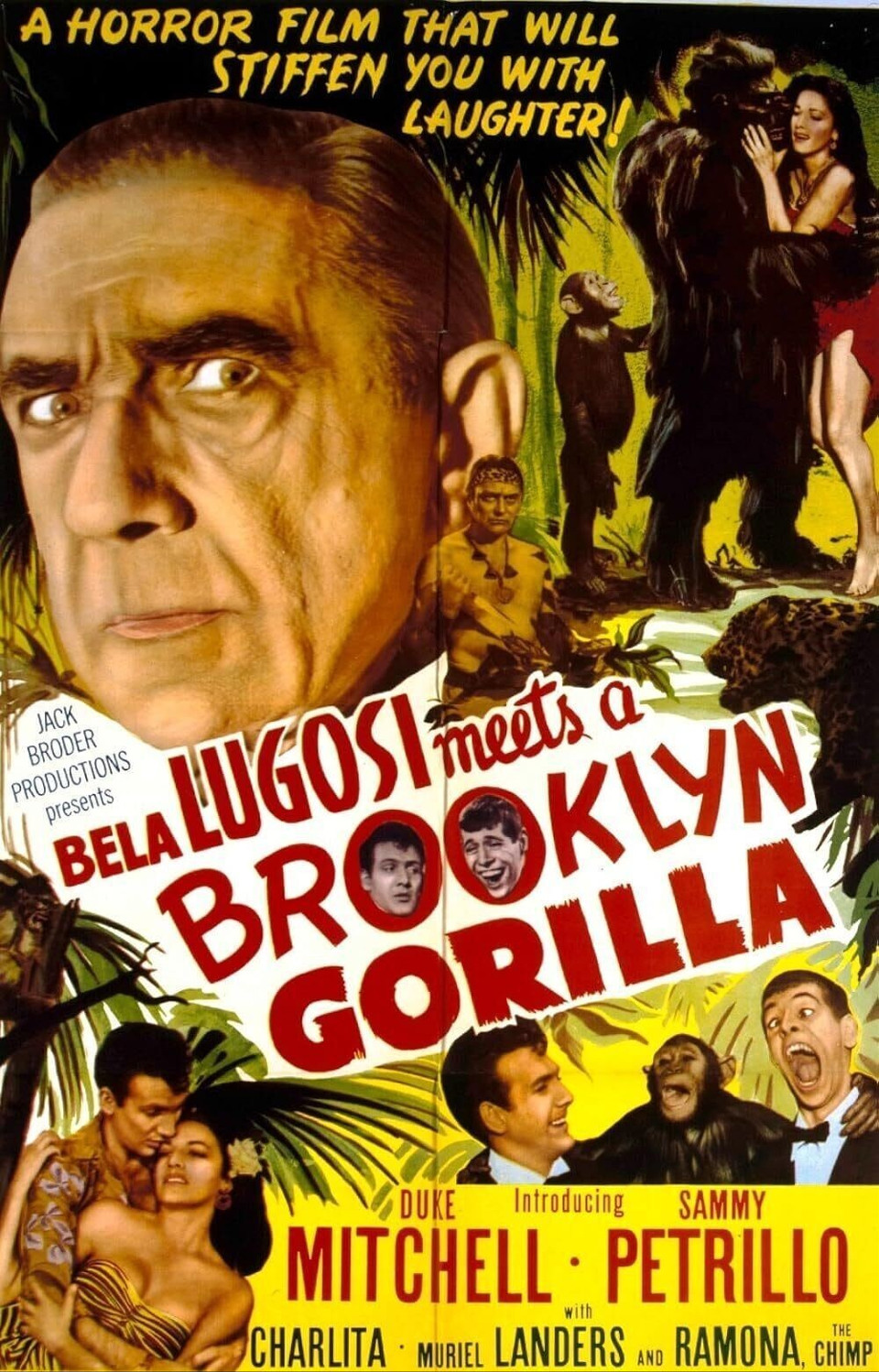 Bela Lugosi spotyka brooklińskiego goryla (1952) - film | Telemagazyn