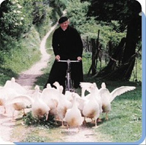 Don Matteo - serial | Telemagazyn