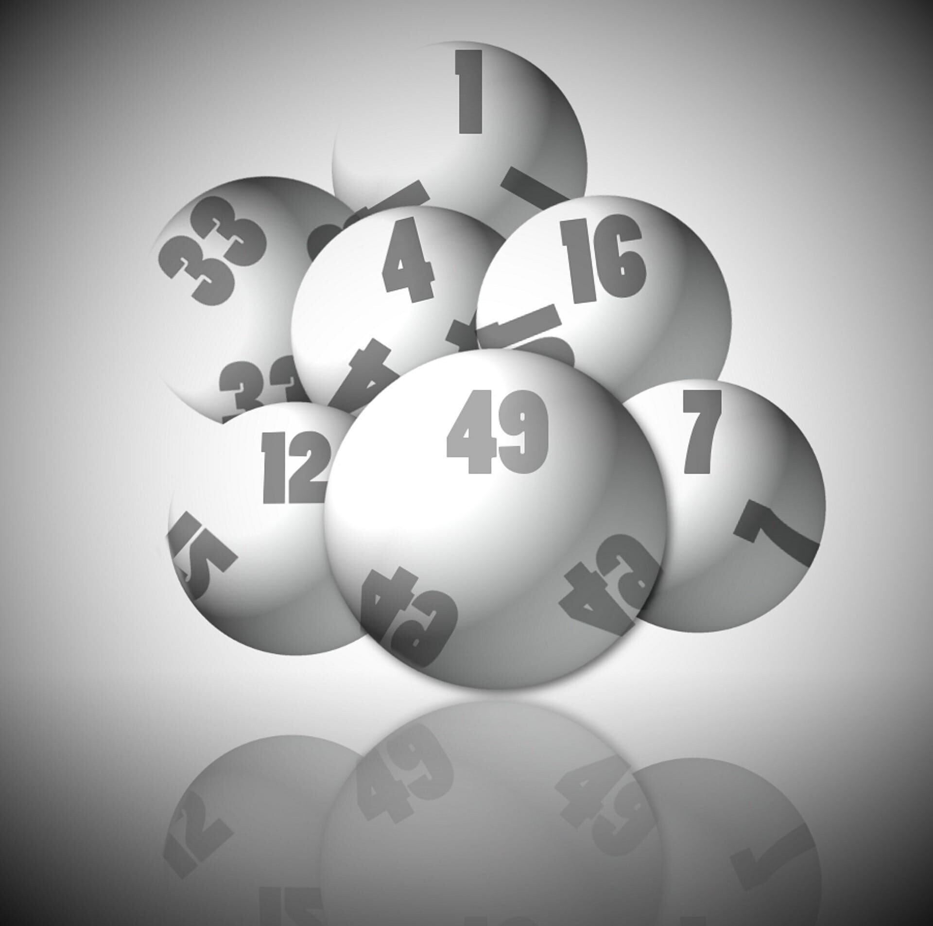 Studio Lotto | Telemagazyn