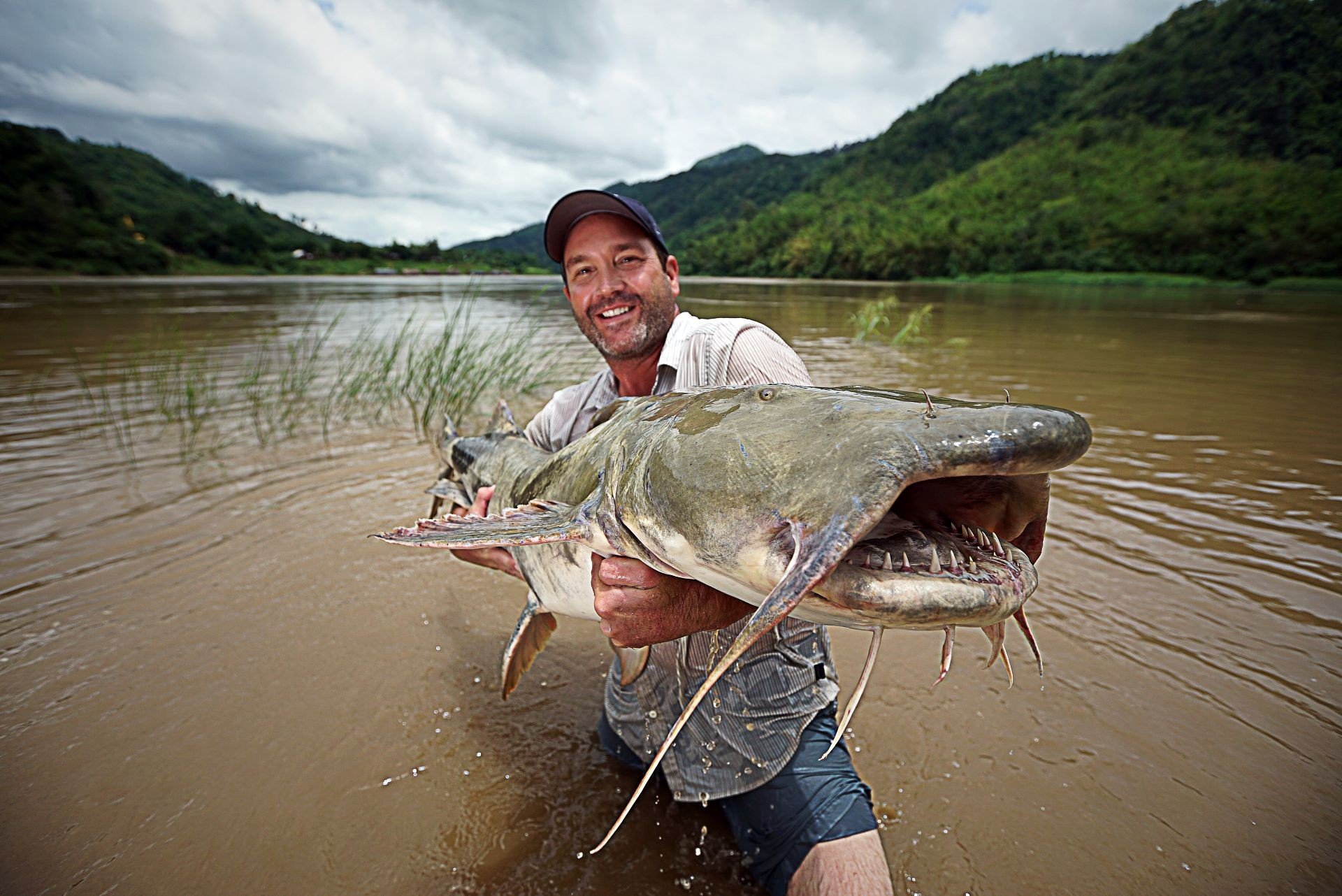 Wielka ryba Zeba - Odcinek 1 - Gigantyczny sum - streszczenie odcinka ...