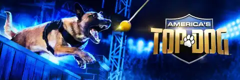 America's Top Dog | Telemagazyn